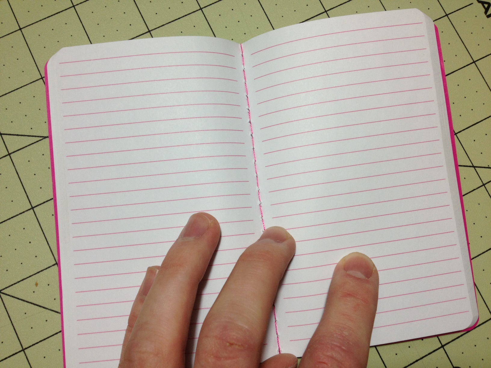 Review – Slant Collections Mini Journals Preppy Stripe | Dragon Company